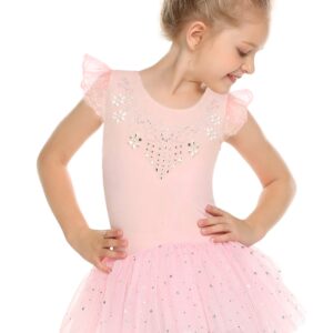 Zaclotre Kid Girls Ruffle Sleeve Ballet Skirted Leotard Shiny Dance Tutu Dresses