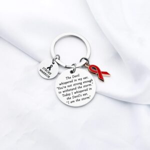 FUSTMW Stroke Awareness Keychain Stroke Warrior Gifts I Am The Storm Stroke Survivor Jewelry Recovery Gifts Red Ribbon Cancer Inspirational Gifts (silver)