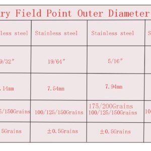 5/16″ 100 Grains Field Points arrowheads, Stainless Steel Archery Target Bullet Point Sharp Targethead Screw in Broadheads (1 Dozen 12 PCS) (5/16″100Grain-C, 5/16″)