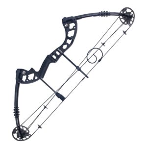 SinoArt Compound Bow 30-55lbs 24"-29.5" Archery Hunting Equipment Max Speed 310fps with Accessories Right Handed