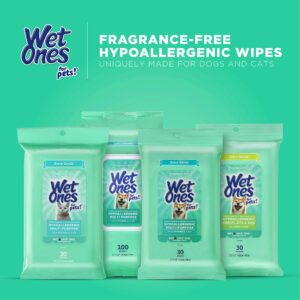 Wet Ones for Pets Extra Gentle Hypoallergenic Dog Wipes with Witch Hazel for Snout, Eye, Ear | Fragrance-Free for All Dogs with Wet Lock Seal | 30 Ct Pouch