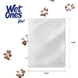 Wet Ones for Pets Extra Gentle Hypoallergenic Dog Wipes with Witch Hazel for Snout, Eye, Ear | Fragrance-Free for All Dogs with Wet Lock Seal | 30 Ct Pouch