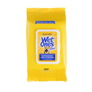 wet ones for pets desmellizing multi-purpose dog wipes with baking soda dog desmellizing wipes for all dogs in tropical splash scent, wet ones wipes for desmellizing dogs| hundred ct pouch dog wipes