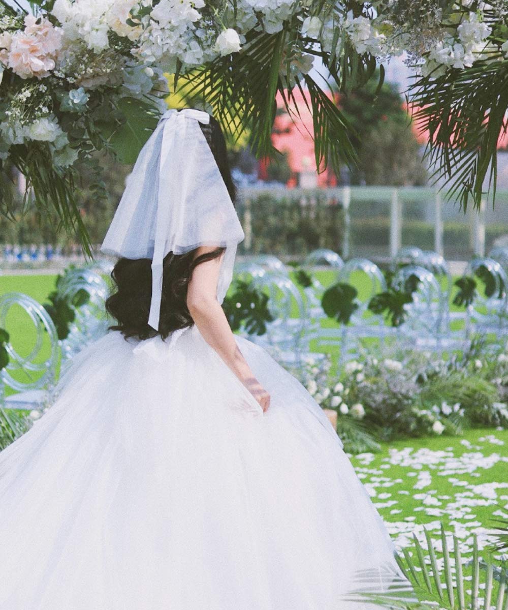 takemay Wedding Veil for Brides, Short White 2 Tier Tulle with Bow Hair Clip