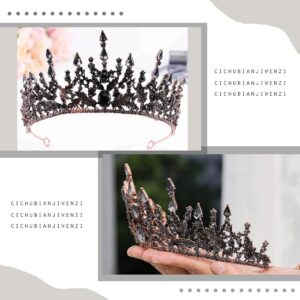 Florry Baroque Crowns Crystal Tiaras and Crowns Wedding Queen Crowns for Brides Halloween Costume Bridal Tiaras Hair Accessories for Women and Girls (Black)