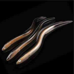 XXhailan Fishing Lures Soft EEL baits Crankbaits Set Fishing Big Fish Baits Lures Fishing Gear Accessories for Freshwater and Saltwater 2Pcs