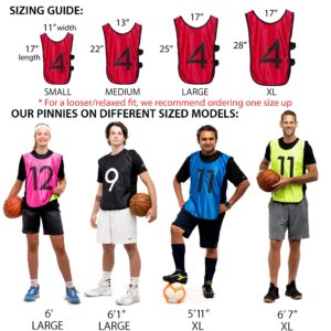 LVL10 Sports Pinnies - Reversible Numbered Practice Vest Pennies for Soccer, Basketball Scrimmages - Adults Kids (Large, 12 Pack (1-12), Red/Blue)