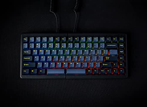 Mistel BAROCCO MD770 RGB Wireless Split Mechanical Keyboard, TKL Ergonomic Gaming Keyboard 85 Keys (Cherry MX Red Switches, Linear Lighter)