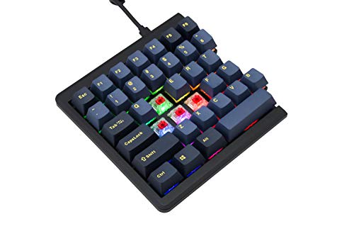 Mistel BAROCCO MD770 RGB Wireless Split Mechanical Keyboard, TKL Ergonomic Gaming Keyboard 85 Keys (Cherry MX Red Switches, Linear Lighter)