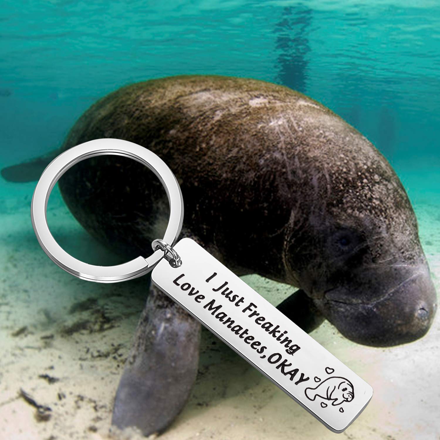 FEELMEM Manatee Keychain Manatee Lovers Gift I Just Freaking Love Manatees Okay Keychain Sea Cow Manatee Jewelry Sea Lion Gift for Women Crazy Manatee Lady Gift (I just freaking)