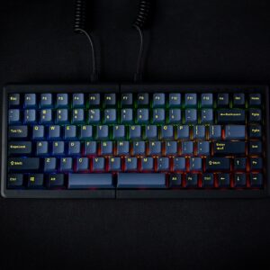 Mistel BAROCCO MD770 RGB Wireless Split Mechanical Keyboard, TKL Ergonomic Gaming Keyboard 85 Keys (Cherry MX Brown Switches, Tactile Light-Clicky)