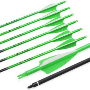 Carbon Arrows 28 Inch Targeting Practice Hunting Arrow Fluorescence Color for Compound Bow and Recurve Bow with 100 Grain Removable Tips (Pack of 12)