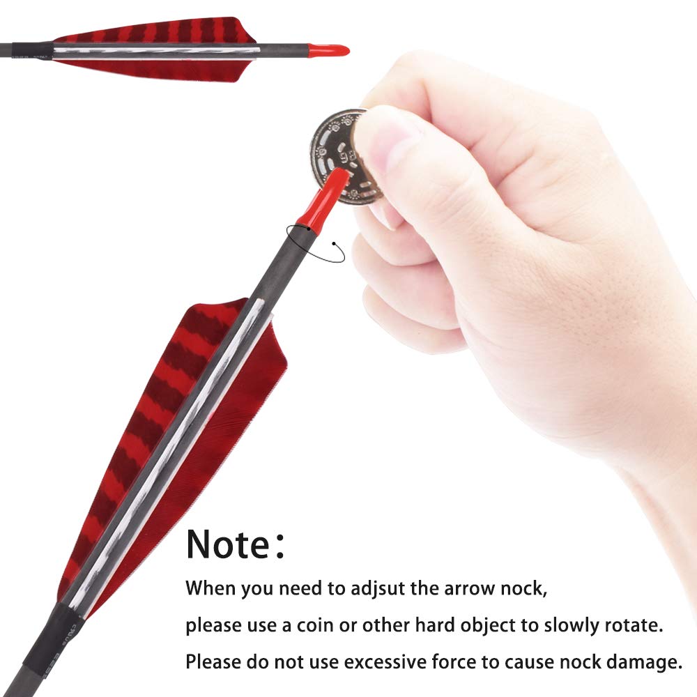 Pure Carbon Arrows 30 Inch 600 Spine Turkey Feather Fletching Screw-in Field Points Targeting Hunting Traditional Long Bow Arrows for Recurve Bow Compound Bow (Pack of 6)