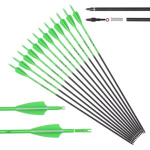 carbon arrows 28 inch targeting practice hunting arrow fluorescence color for compound bow and recurve bow with 100 grain removable tips (pack of 12)