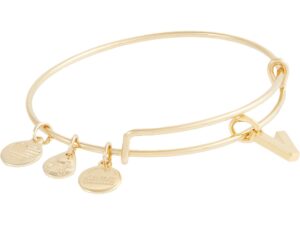 alex and ani expandable bangle for women, initial v letter charm, shiny gold finish, 2 to 3.5 in