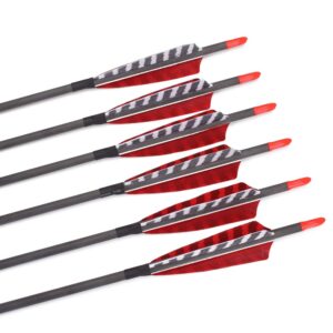 Pure Carbon Arrows 30 Inch 600 Spine Turkey Feather Fletching Screw-in Field Points Targeting Hunting Traditional Long Bow Arrows for Recurve Bow Compound Bow (Pack of 6)