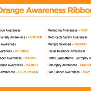 25 Pack Kidney Cancer Awareness Stretch Bracelets – Inexpensive Orange Ribbon Bracelets for Kidney Cancer Awareness Fundraisers, Events and Gift-Giving