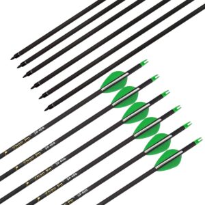 Zhao.Fu 29 Inch Carbon Arrow Practice Hunting Arrows Spine 400 with Removable Tips for Archery Compound & Recurve & Traditional Bow (12 Pcs)