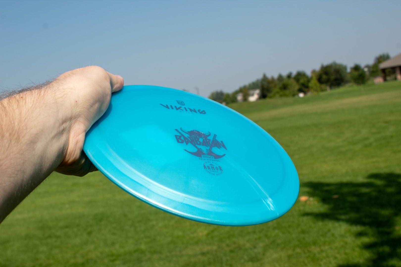 Viking Discs | Barbarian | Straight Flying Disc Golf Driver | Armor Plastic