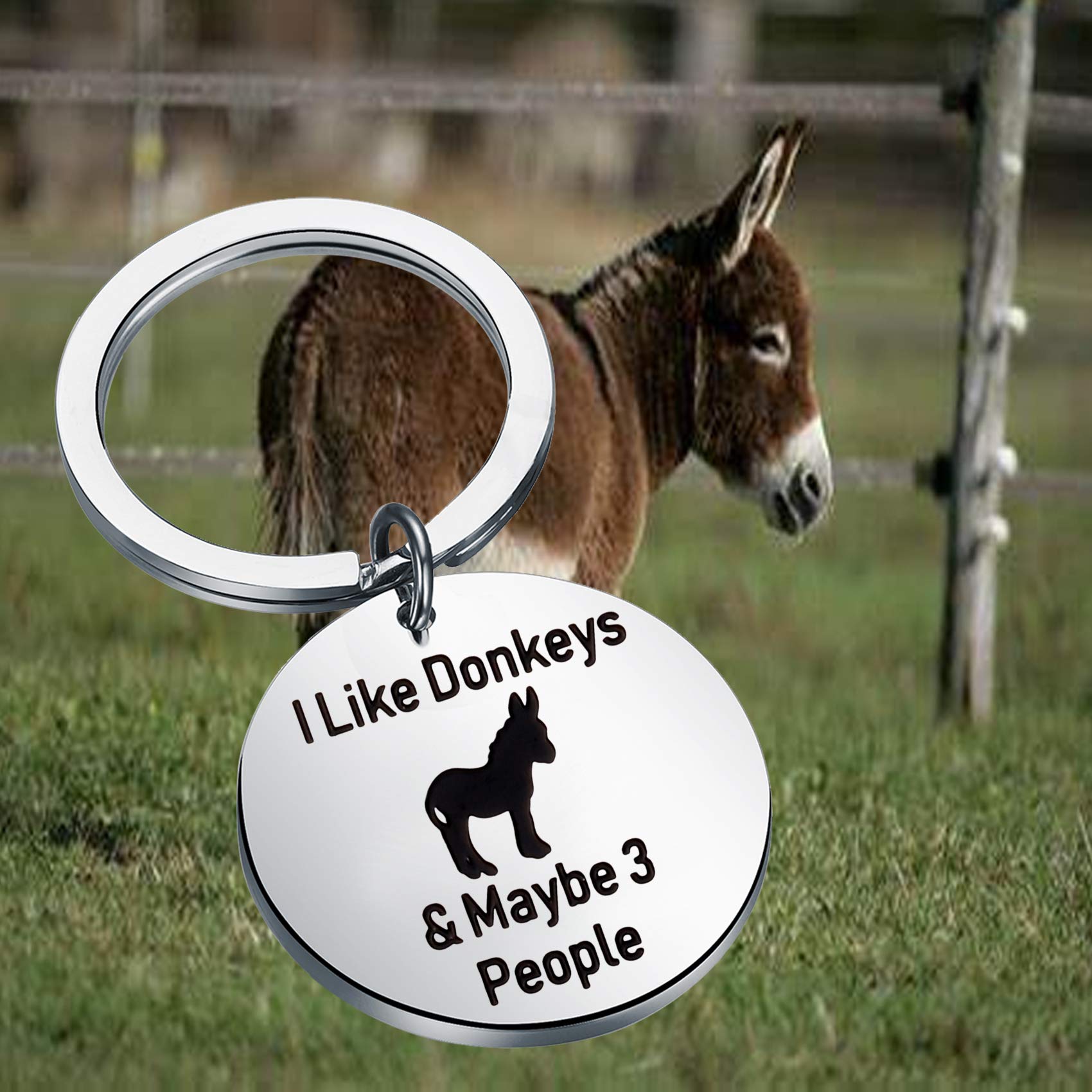 BEKECH Funny Donkey Gift Donkey Keychain I Like Donkeys & Maybe 3 People Donkey Theme Keychain Gift for Donkey Lovers Animal Lovers Horse Gift for Men Women (silver)