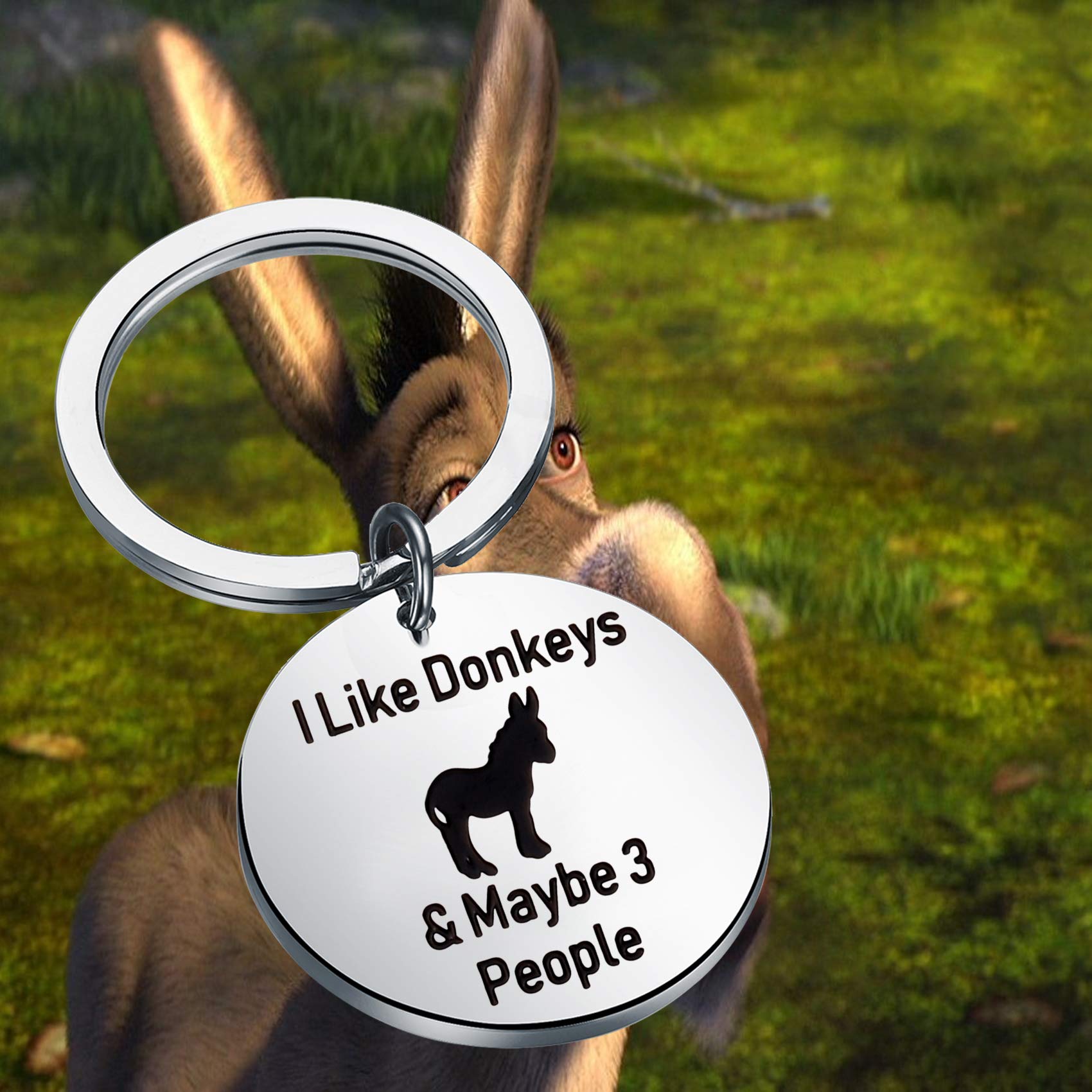 BEKECH Funny Donkey Gift Donkey Keychain I Like Donkeys & Maybe 3 People Donkey Theme Keychain Gift for Donkey Lovers Animal Lovers Horse Gift for Men Women (silver)