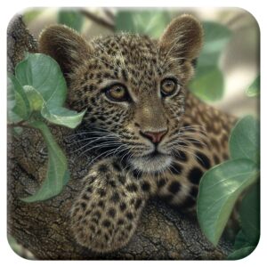 3d livelife cork coaster - tree hugger from deluxebase. lenticular 3d cork leopard cub coaster. non-slip drink coaster with original artwork licensed from renowned artist, collin bogle