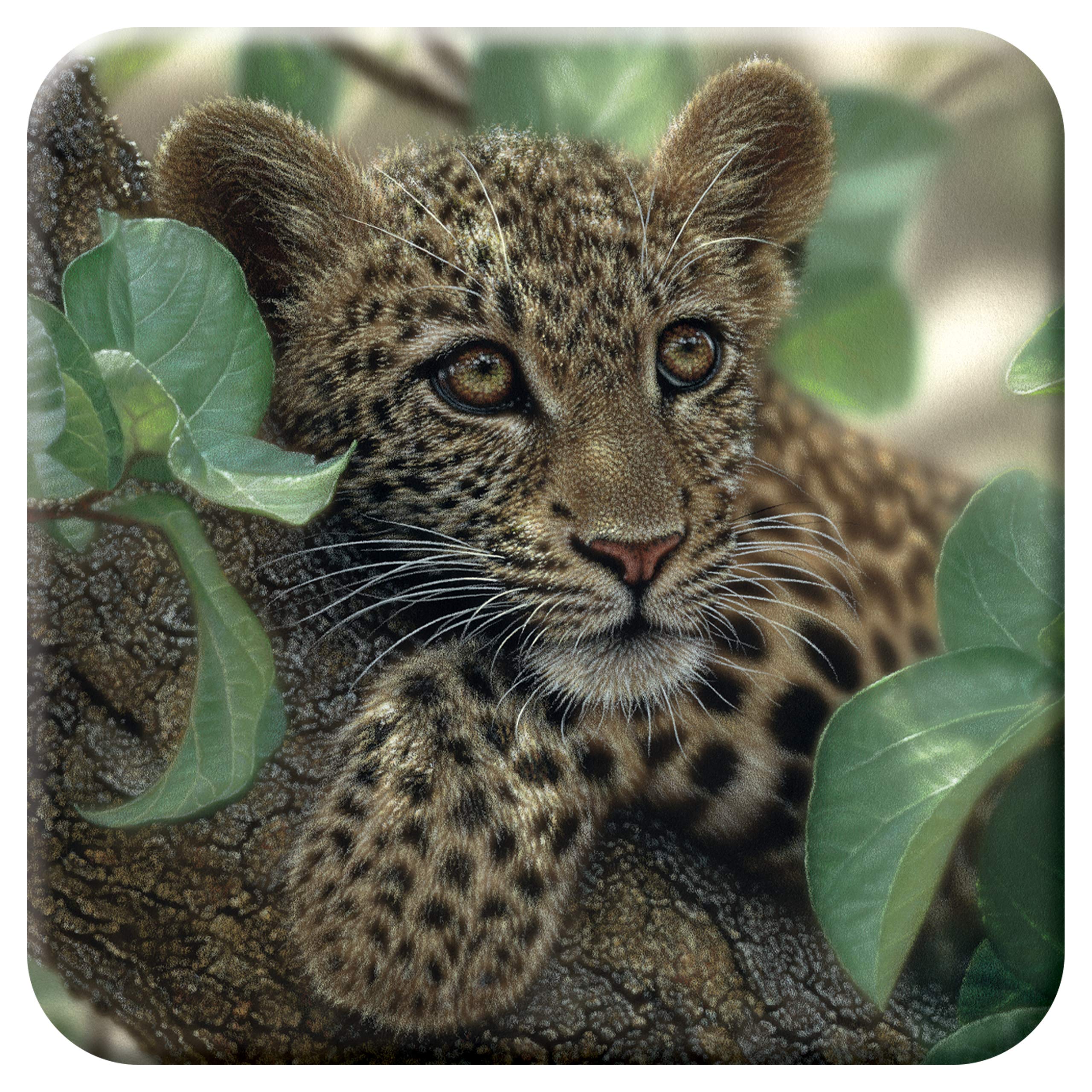 3D LiveLife Cork Coaster - Tree Hugger from Deluxebase. Lenticular 3D Cork Leopard Cub Coaster. Non-slip drink Coaster with original artwork licensed from renowned artist, Collin Bogle