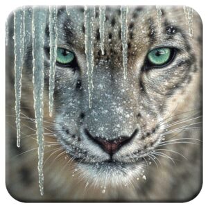 3d livelife cork coaster - blue ice from deluxebase. lenticular 3d cork snow leopard coaster. non-slip drink coaster with original artwork licensed from renowned artist, collin bogle