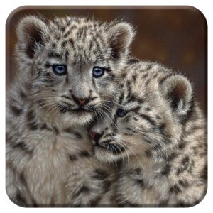 3D LiveLife Cork Coaster - Playmates from Deluxebase. Lenticular 3D Snow Leopard Coaster. Non-Slip Table Coasters Featuring Original Artwork by Collin Bogle. Ideal for Home Decor.