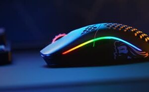 Glorious Mouse (Matte Black)