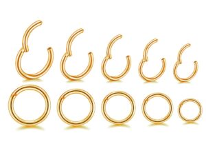 16g surgical steel hinged clicker segment nose rings hoop helix cartilage daith tragus sleeper earrings body piercing for women (16g - gold - (6mm-14mm) - 10pcs)