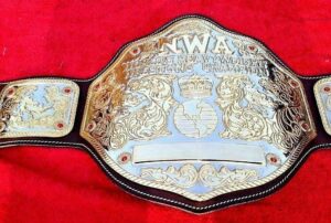 maxan nwa big gold championship belt adult size