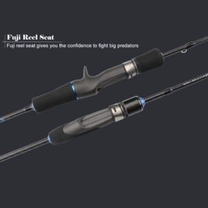 Rosewood 1.8m UL Trout Fishing Rod Fuji Guide Ring and Reel seat Super Light high Carbon Spinning Casting Fishing rods Tackle (Casting Rod)