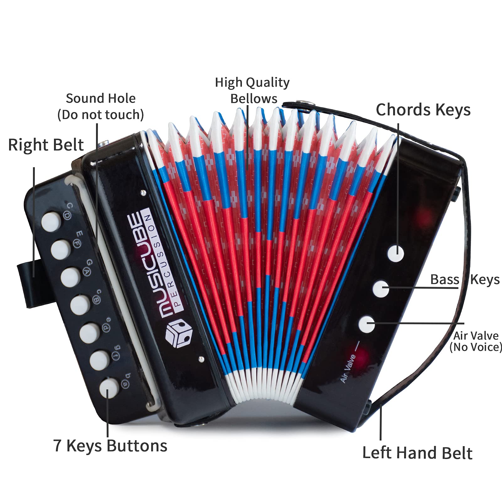 MUSICUBE Kids Accordion Instrument Toys 10 Keys Button Small Accordion for Boys & Girls Educational Musical Instrument Toys Christmas Gift Choice (BLACK)