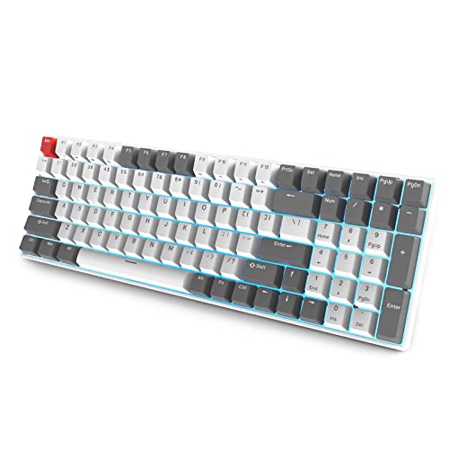 RK ROYAL KLUDGE RK100 Wireless Mechanical Keyboard RGB Backlit Bluetooth5.1/2.4G/Wired 96% Full Size 100-Key Hot-swap Gaming Keyboard with 3 USB Ports Brown Switch for Mac Windows Classic