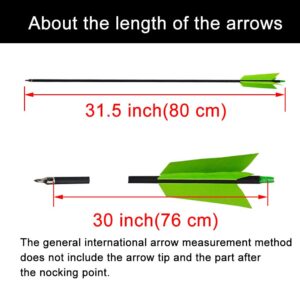 AMEYXGS Archery Flu Flu Arrows and Judo Arrow Heads 30 Inch Mix Carbon Arrow Spine 500 with 4 Turkey Feather for Compound Bow Recurve Bow Competition and Target Practice (Green 1#)