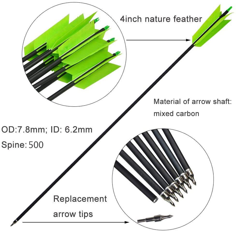 AMEYXGS Archery Flu Flu Arrows and Judo Arrow Heads 30 Inch Mix Carbon Arrow Spine 500 with 4 Turkey Feather for Compound Bow Recurve Bow Competition and Target Practice (Green 1#)