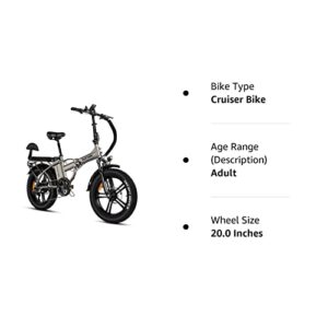 Rattan 750W Electric Bike for Adults 48V 13AH Removable Battery Foldable Electric Bikes LM/LF Pro Ebike 20" x 4.0 Fat Tire Electric Bicycles 2 Seater