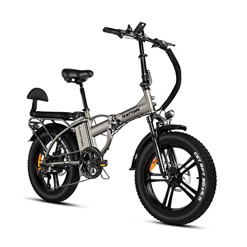 Rattan 750W Electric Bike for Adults 48V 13AH Removable Battery Foldable Electric Bikes LM/LF Pro Ebike 20" x 4.0 Fat Tire Electric Bicycles 2 Seater