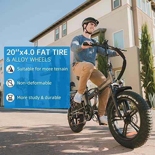 Rattan 750W Electric Bike for Adults 48V 13AH Removable Battery Foldable Electric Bikes LM/LF Pro Ebike 20" x 4.0 Fat Tire Electric Bicycles 2 Seater