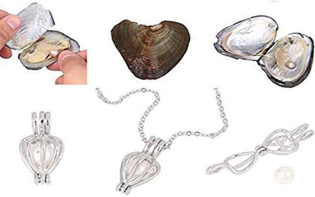 7-8mm Pearl Oyster Cultured Love Wish Round Pearls Oysters with Pearls Inside Mixed Color 5Oyster/lot +1 Necklace(Box Package)