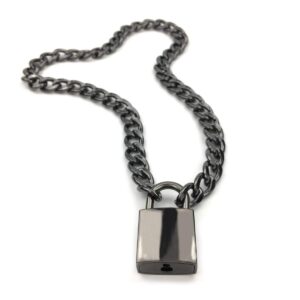 succuba padlock necklace chain collar choker with two keys and box for women, men and pet 24 inches (d, 24)