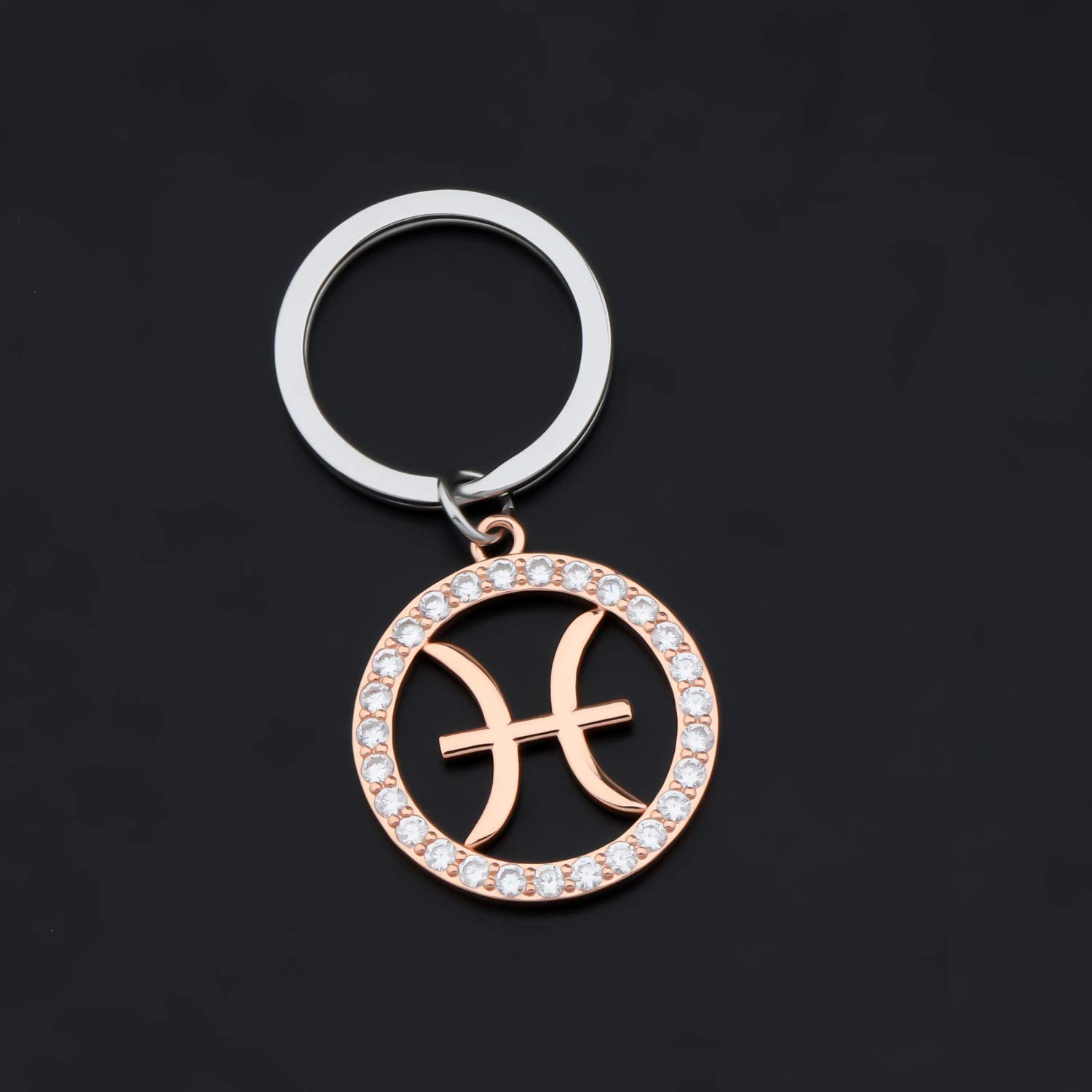 TGBJE Zodiac constellation Keychain Zodiac Sign Gift Zodiac Outline Gift Horoscope Constellation Celestial Zodiac Keychain (RG Pisces)