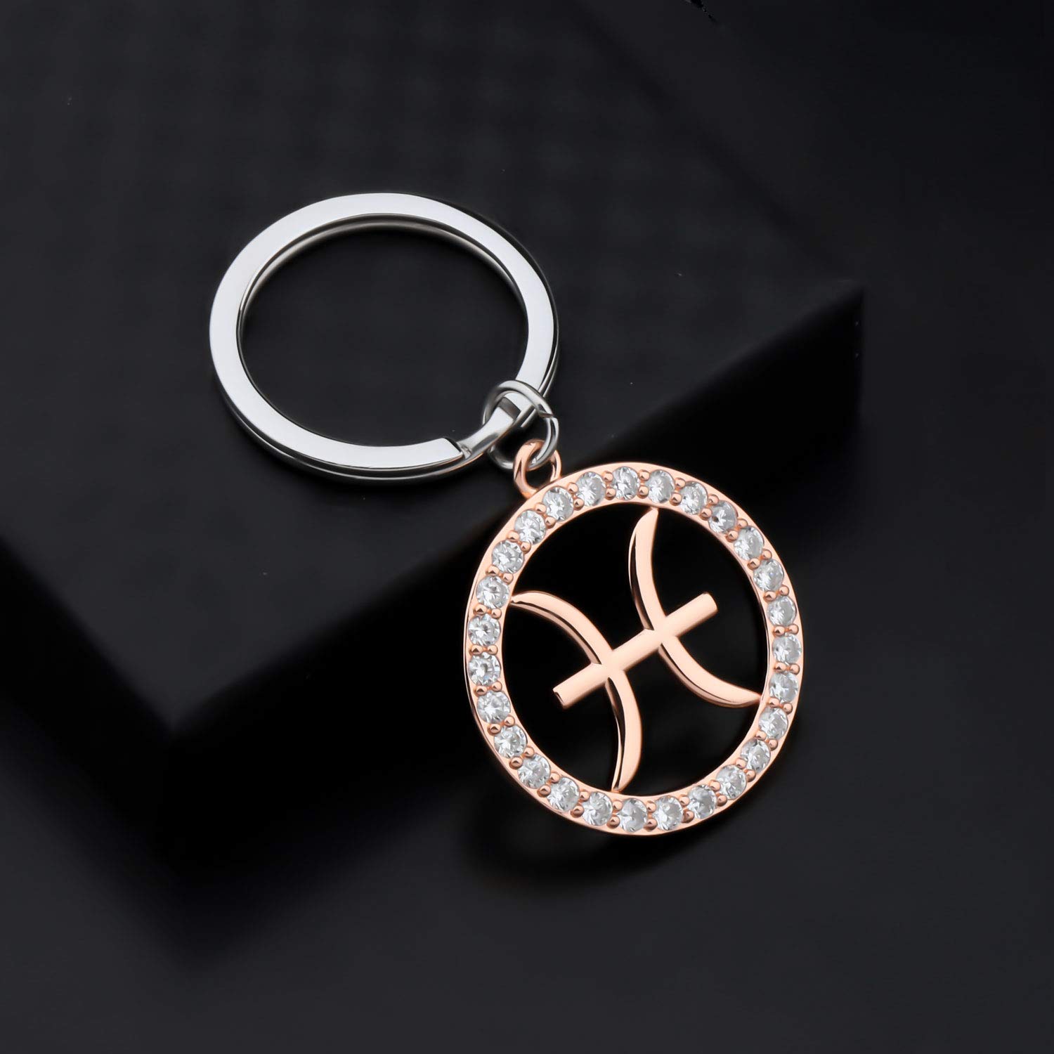 TGBJE Zodiac constellation Keychain Zodiac Sign Gift Zodiac Outline Gift Horoscope Constellation Celestial Zodiac Keychain (RG Pisces)