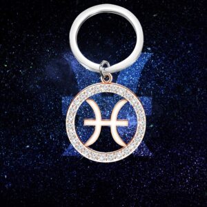 TGBJE Zodiac constellation Keychain Zodiac Sign Gift Zodiac Outline Gift Horoscope Constellation Celestial Zodiac Keychain (RG Pisces)