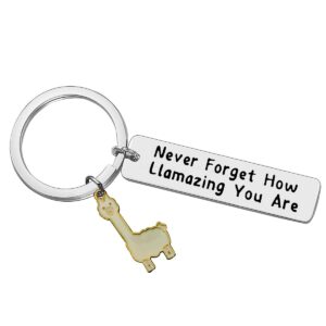 baipilu llama keychain llama gift never forget how llamazing you are keychain for women alpaca gifts animal lover gift inspiring inspired motivational keychains for women,birthday gift for friends