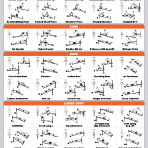 Palace Learning 3 Pack: Bodyweight Workouts + Stretching Exercises + Sliding Bench - Set of 3 Workout Charts