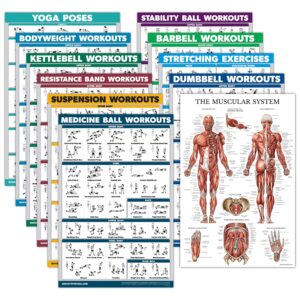 11 pack - exercise poster set: dumbbell, suspension, kettlebell, resistance bands, stretching, bodyweight, barbell, yoga, exercise ball, muscular system, medicine ball (laminated, 18" x 24")