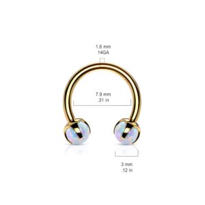 Covet Jewelry Claw Set Opals on Internally Threaded 316L Surgical Steel Horseshoes for Cartilage, Daith, Eyebrow, Septum and More (Steel/Opal White)