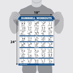 16 Pack - Exercise Workout Poster Set: Dumbbell, Suspension, Kettlebell, Bands, Medicine Ball, Battle Rope, Stretching, Bodyweight, Barbell, Yoga, Exercise Ball (PAPER - NOT LAMINATED, 18" x 24")